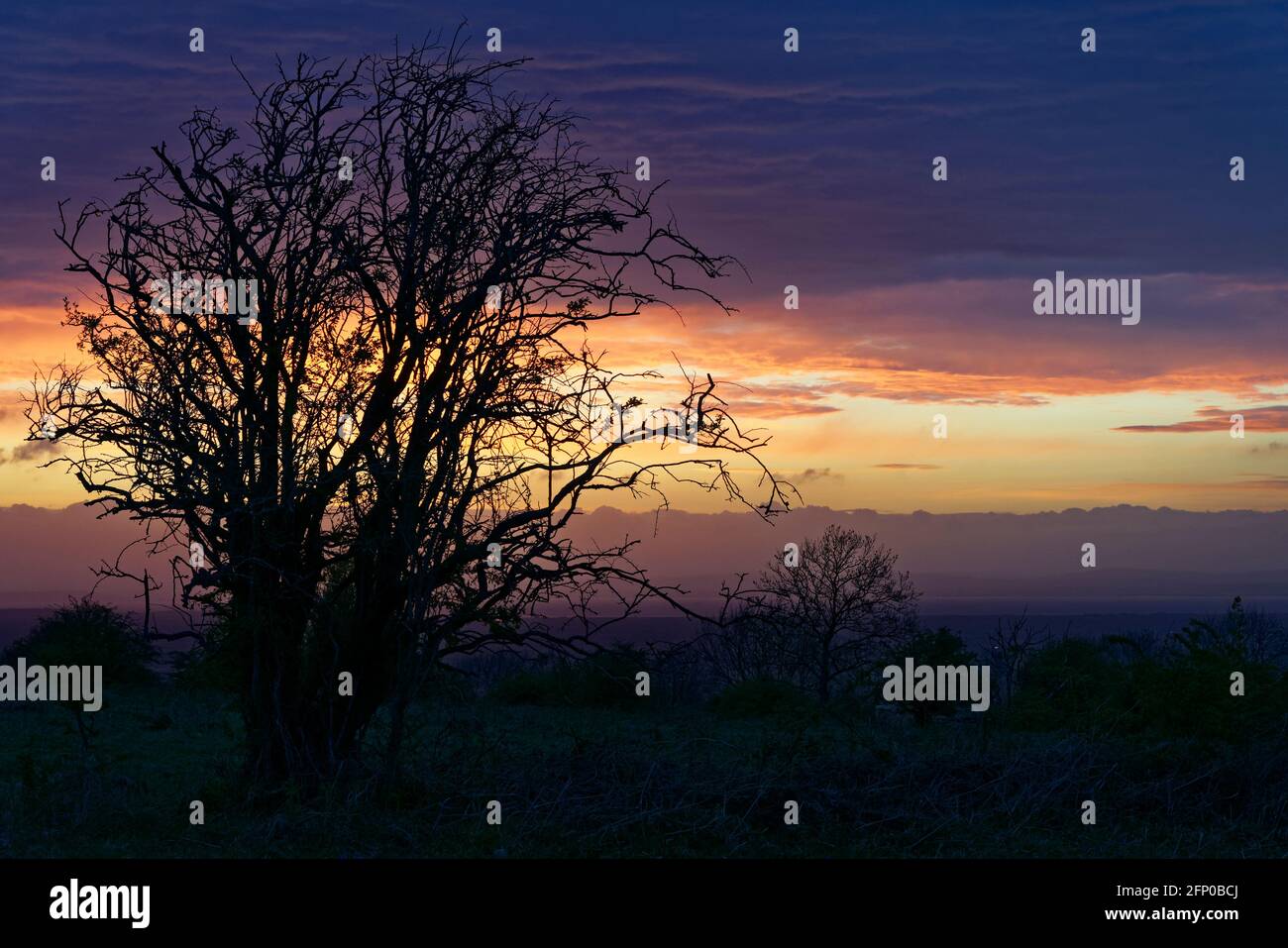 Sunset Over Burrington Ham, Mendip Hills, Somerset Stock Photo - Alamy