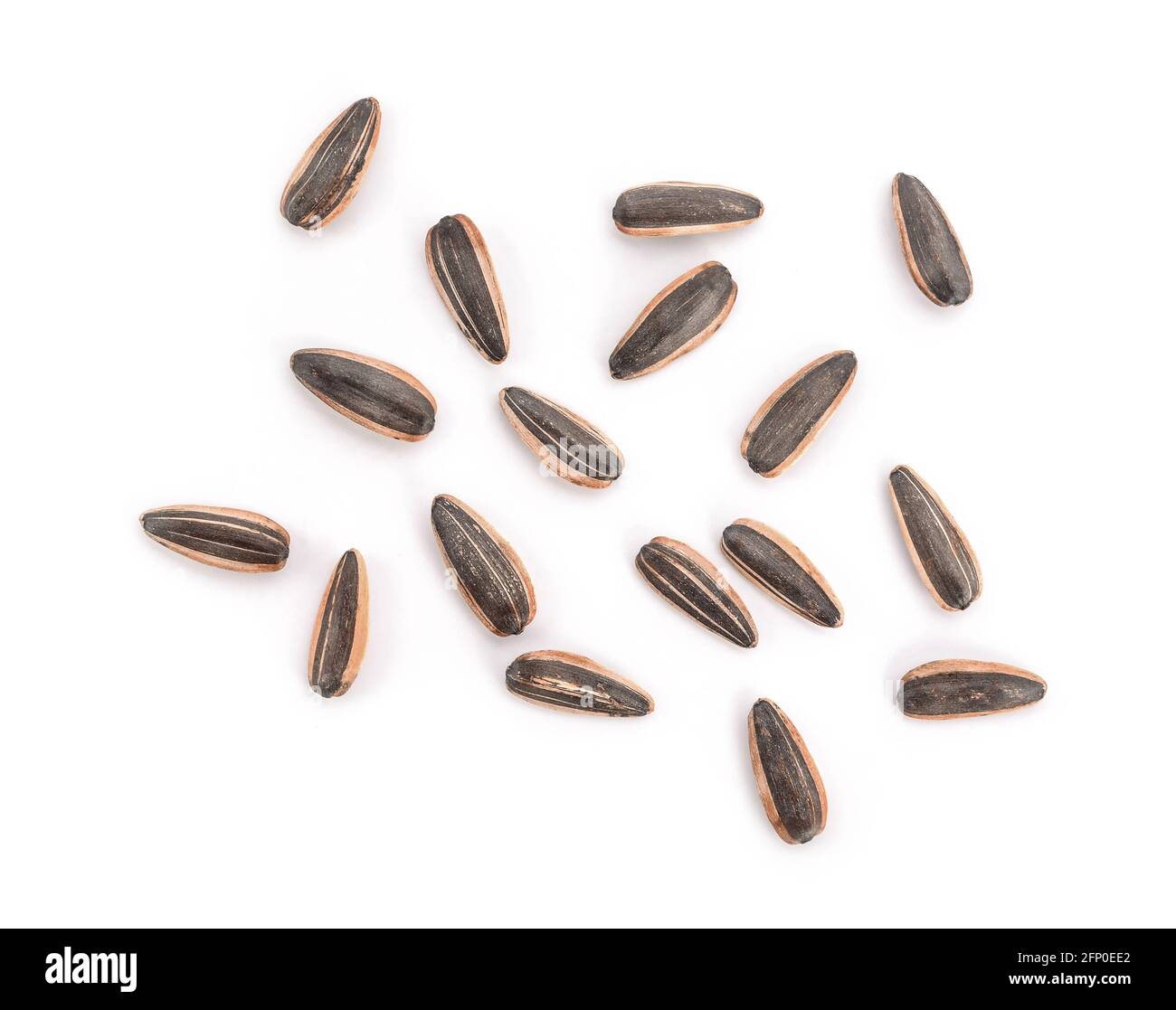 Sun flower seeds hi-res stock photography and images - Alamy