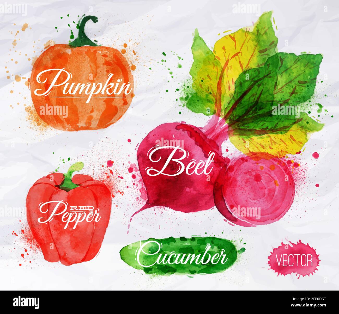Vegetables set drawn watercolor blots and stains with a spray pumpkin ...
