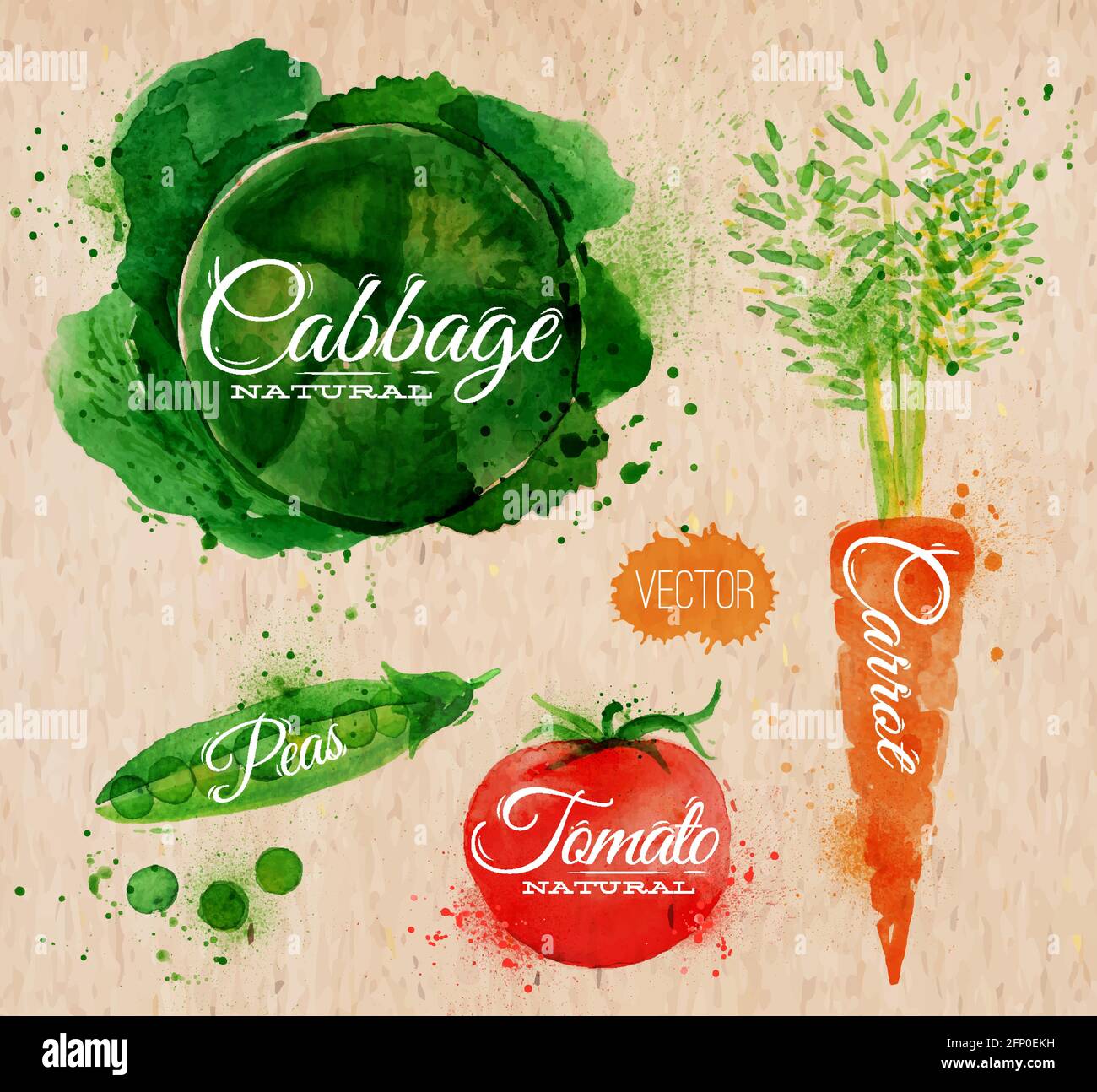Vegetables set drawn watercolor blots and stains with a spray cabbage ...