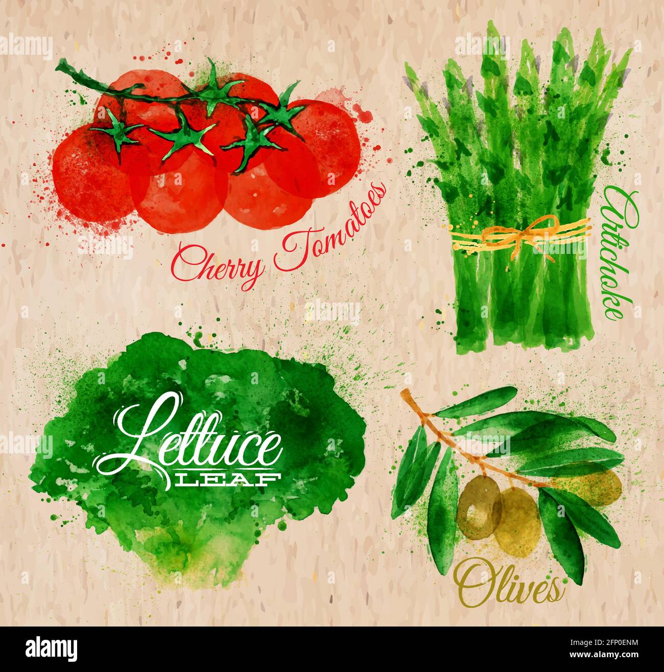 Vegetables set drawn watercolor blots and stains with a spray lettuce ...