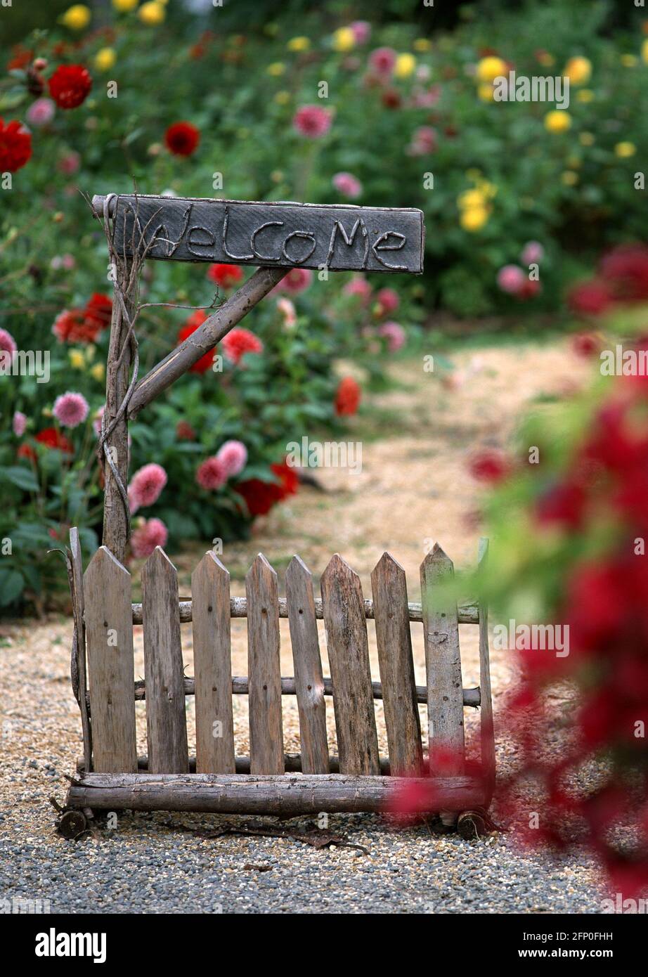 Fireworks, pattern, fire, abstract, trees Stock Photo - Alamy