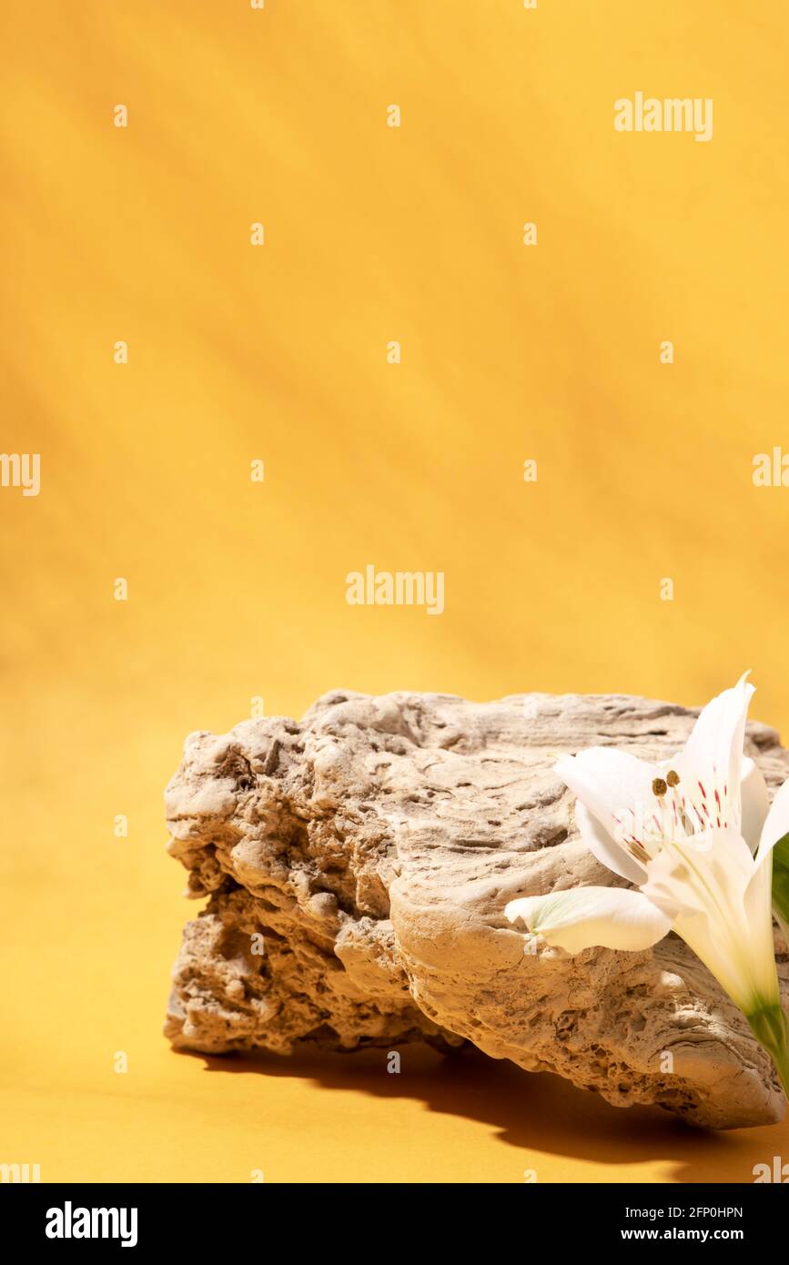 Background for cosmetic products of natural yellow color Stock Photo ...