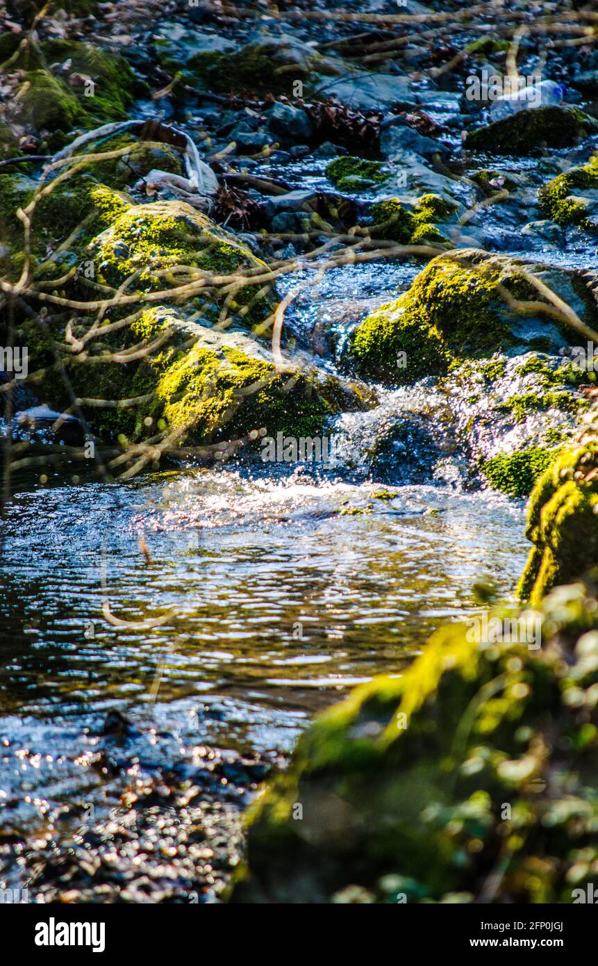 River flowing on the mossy rocks in a forest Stock Photo - Alamy