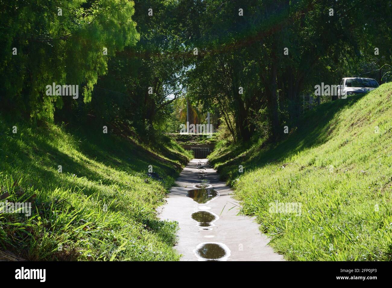 Walkway through a park on a sunny day Stock Photo - Alamy