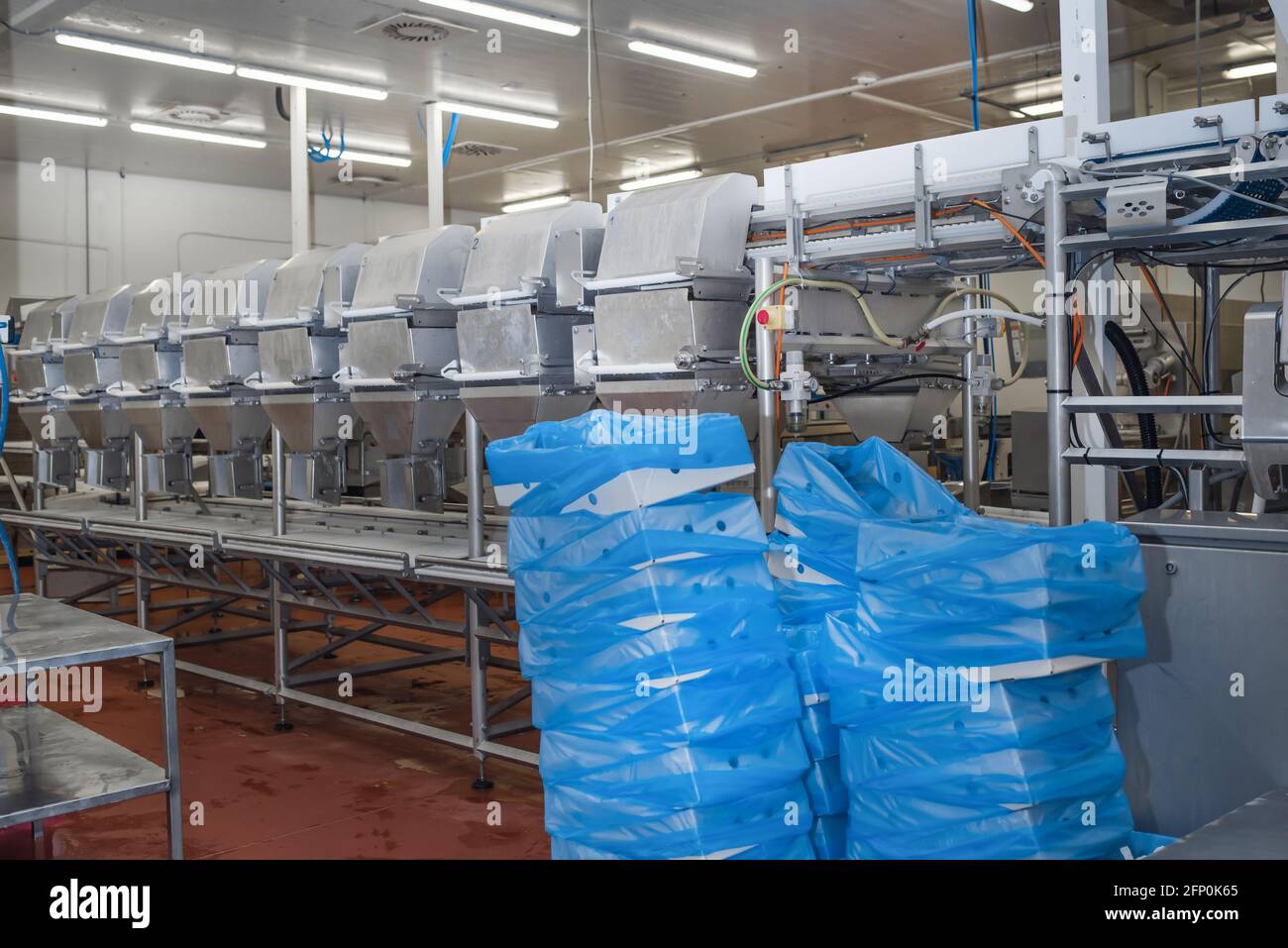 Automated line poultry equipment.Meat processing factory.Industrial ...