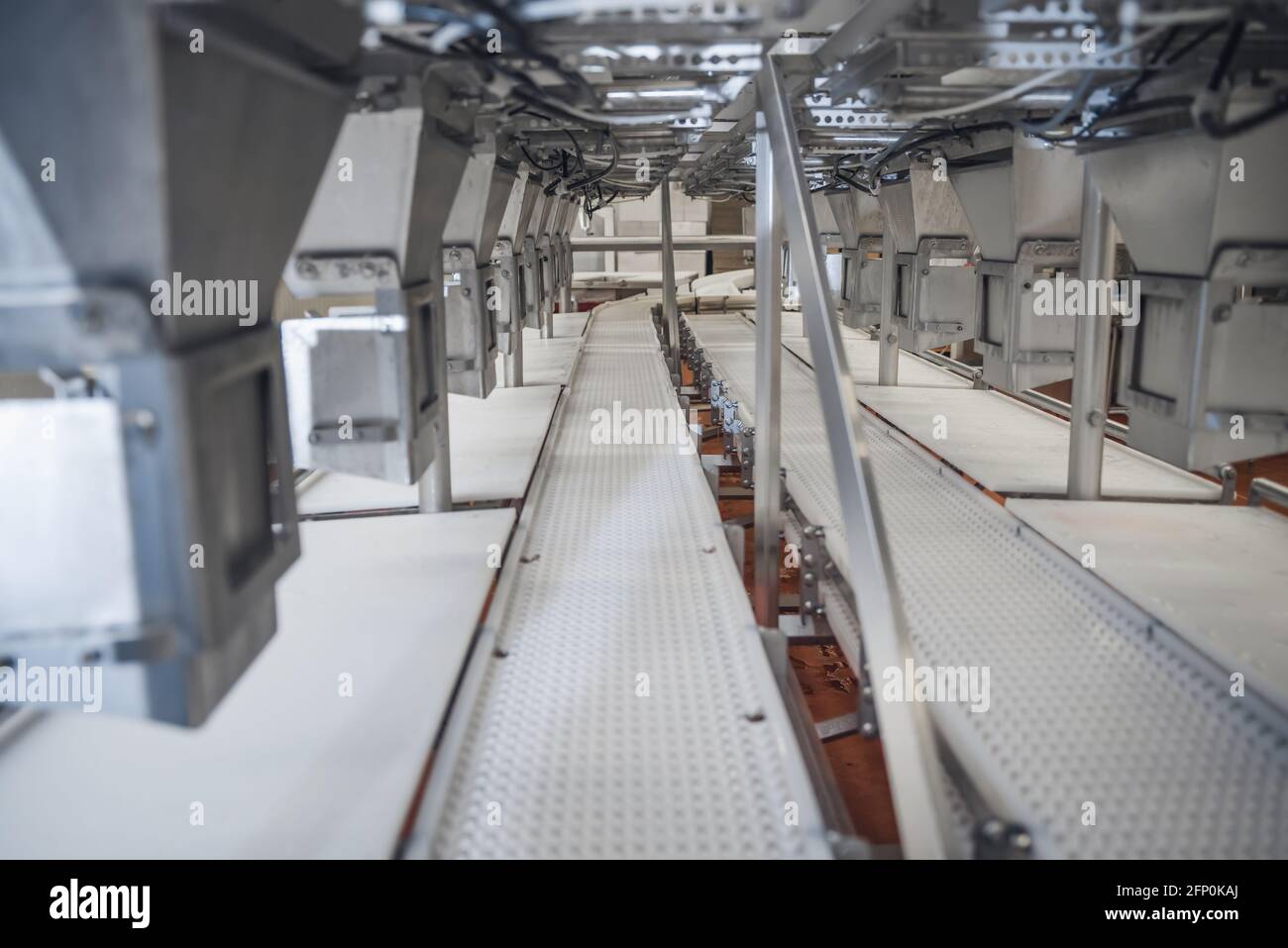 Automated line poultry equipment.Meat processing factory.Industrial ...