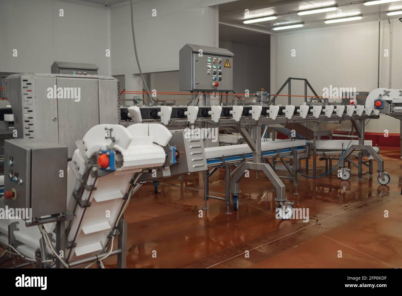 Automated line poultry equipment.Meat processing factory.Industrial ...