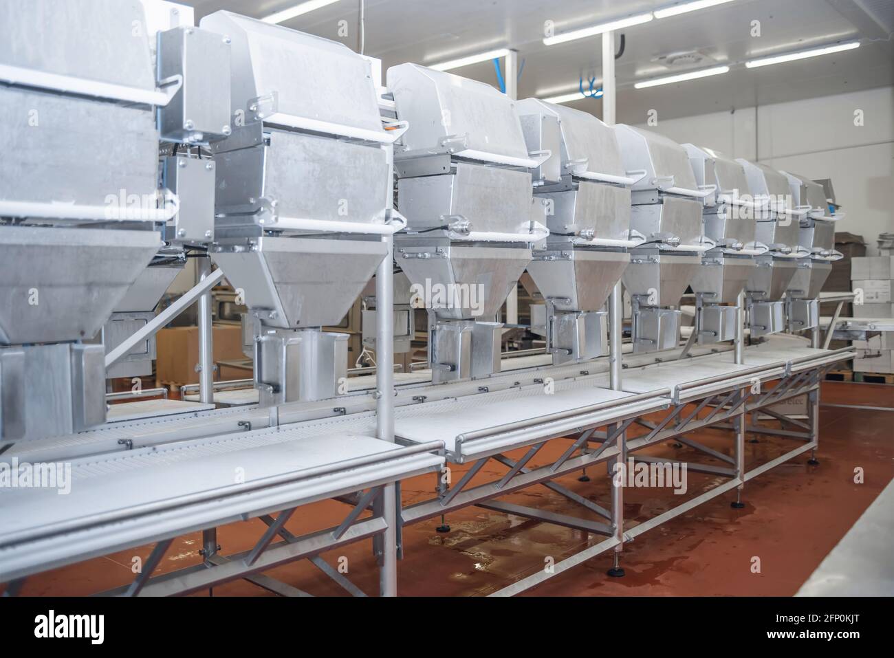 Automated line poultry equipment.Meat processing factory.Industrial ...