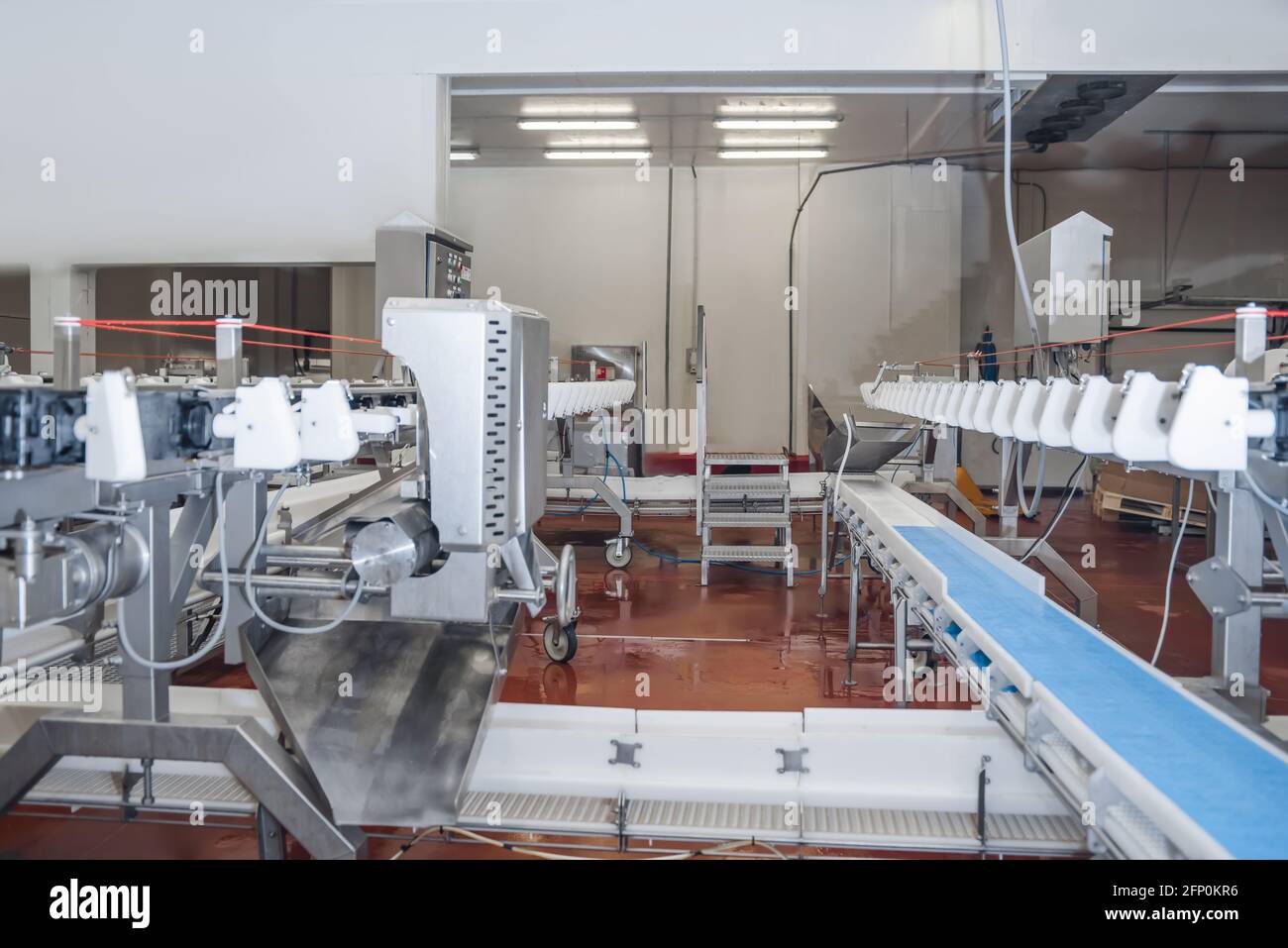 Automated line poultry equipment.Meat processing factory.Industrial ...