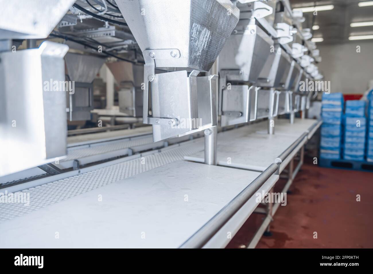 Automated line poultry equipment.Meat processing factory.Industrial ...