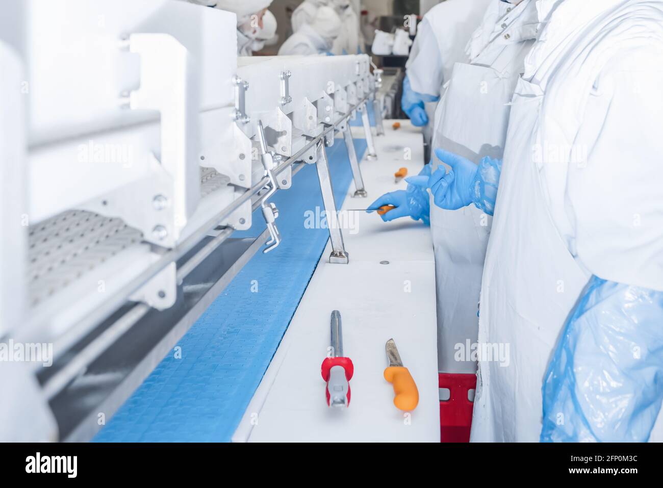 Automated production line in modern food factory.Factory for the ...
