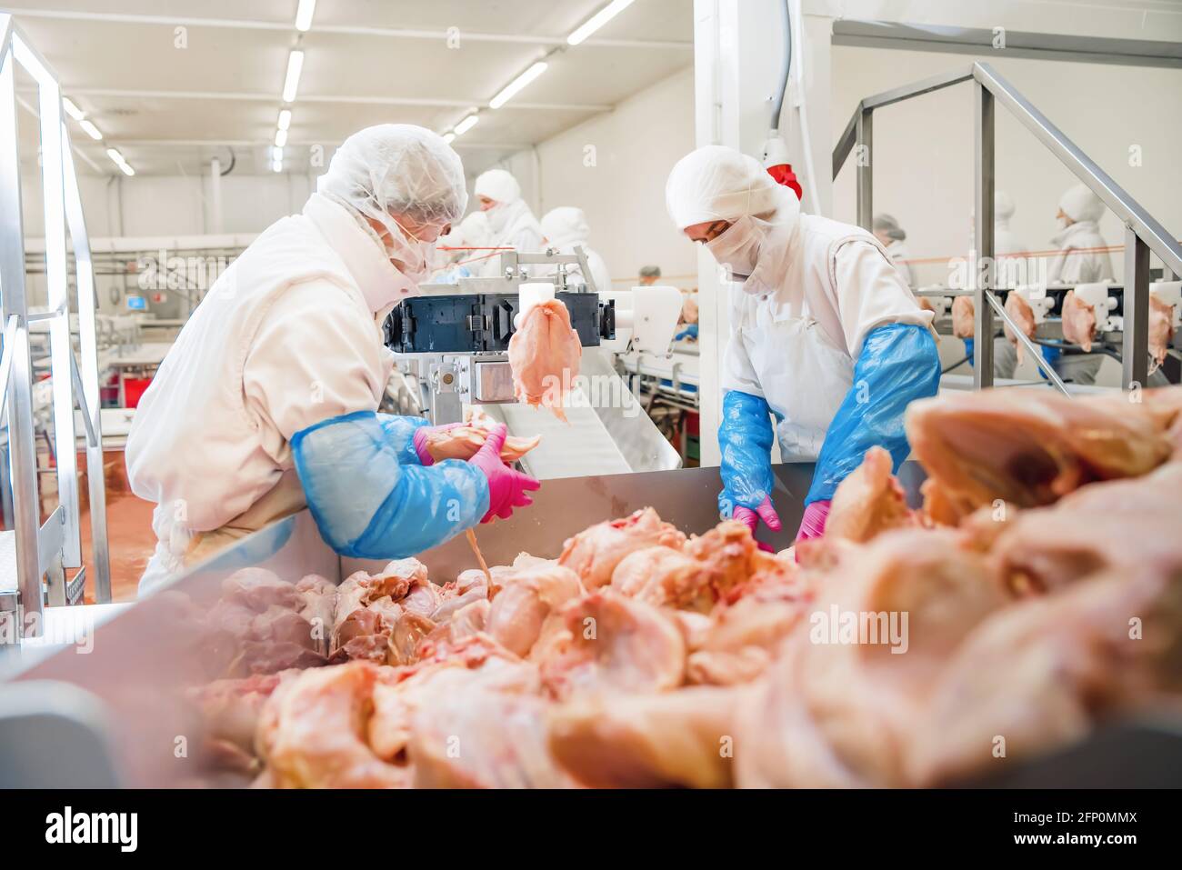 Production line with packaging and cutting of meat.People working at a ...