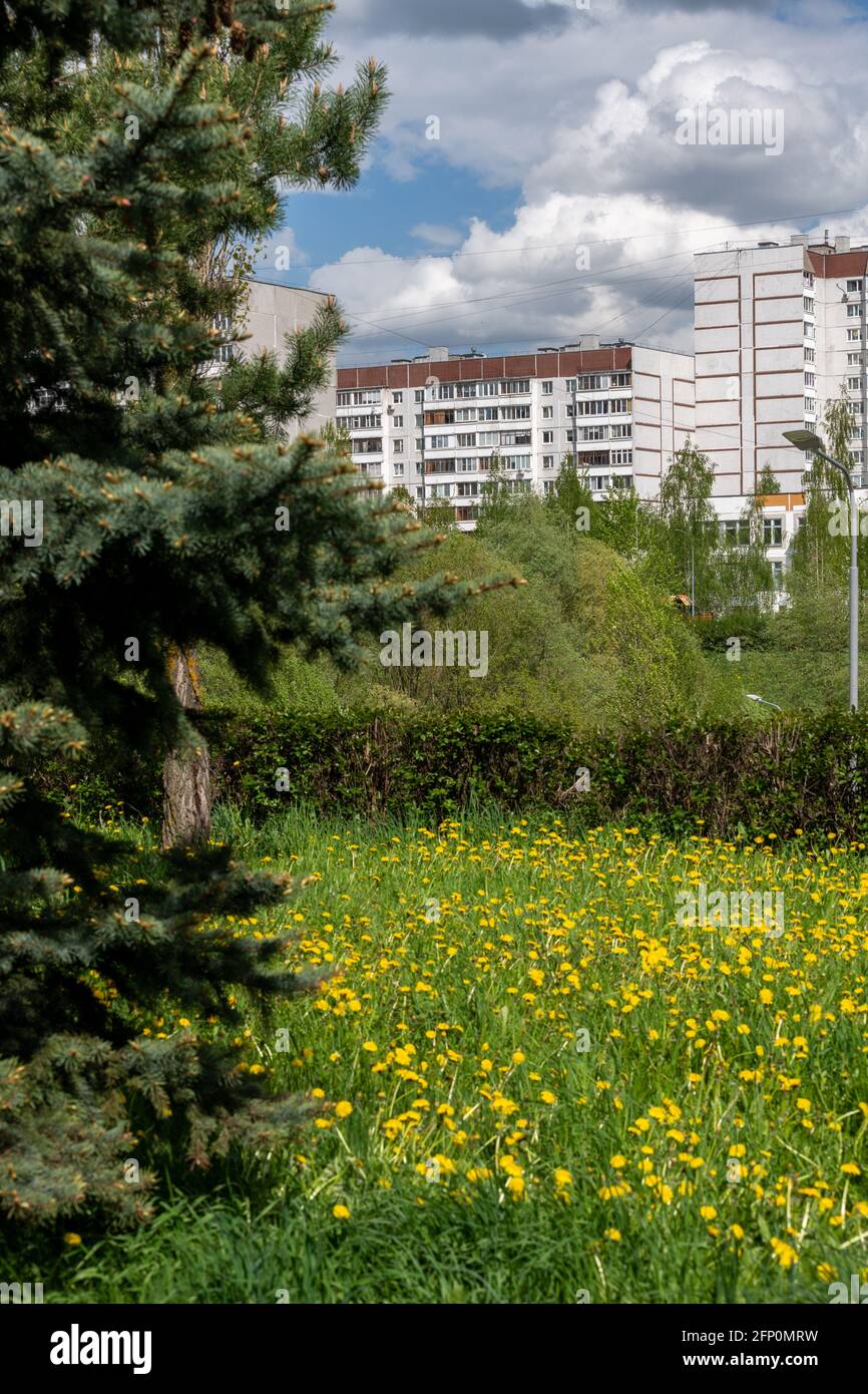 Eco friendly landscaping hi-res stock photography and images - Alamy