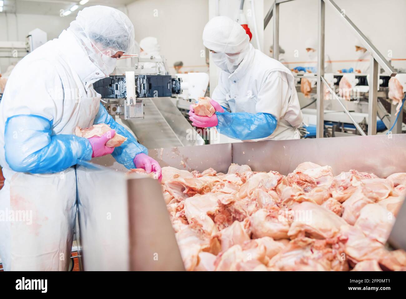 Production line with packaging and cutting of meat.People working at a ...
