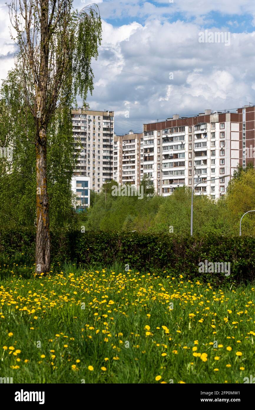 Eco friendly landscaping hi-res stock photography and images - Alamy