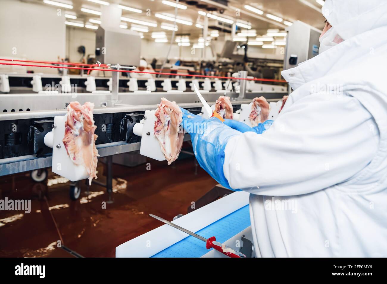 Automated production line in modern food factory.Factory for the ...