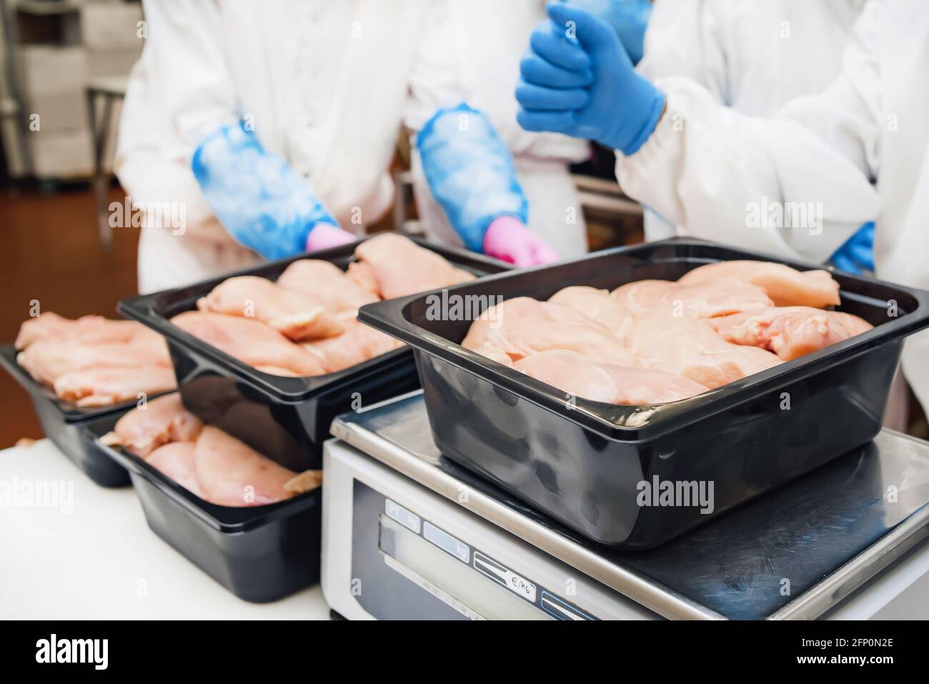 People working,Chicken fillet production line . Meat processing ...