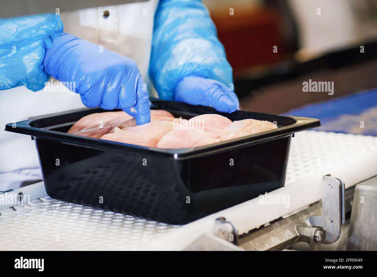 Chicken fillet production line . Meat processing equipment. Line for ...