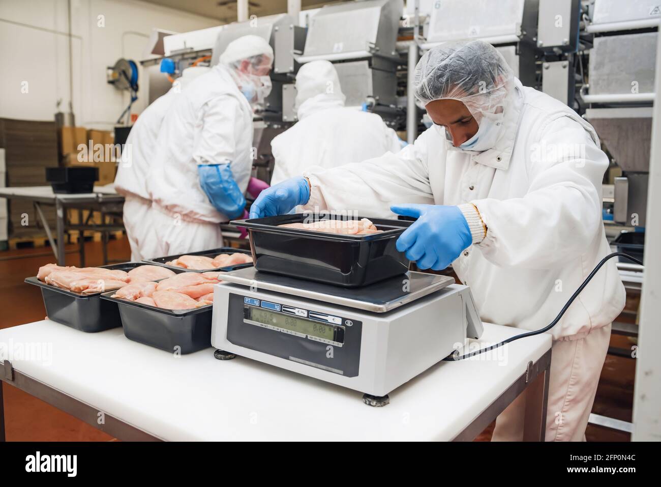 People working,Chicken fillet production line . Meat processing ...