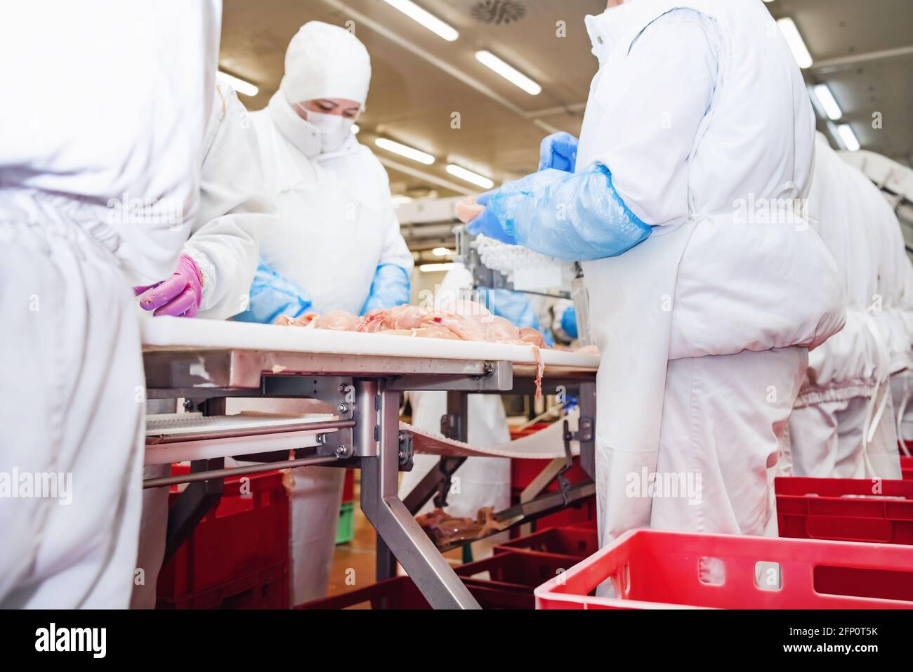 Production line with packaging and cutting of meat.People working at a ...