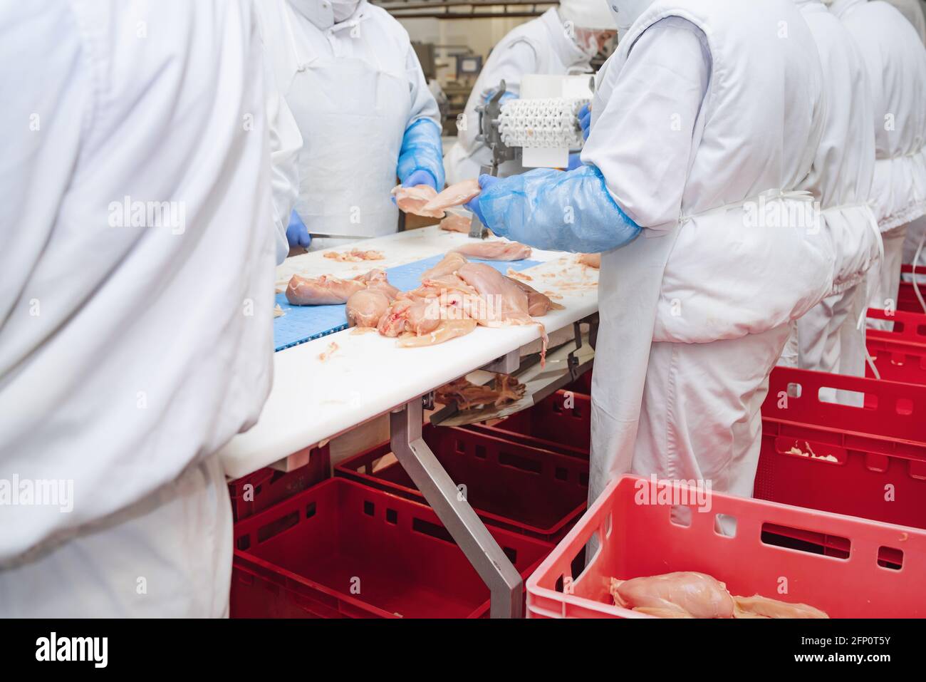 Production line with packaging and cutting of meat.People working at a ...