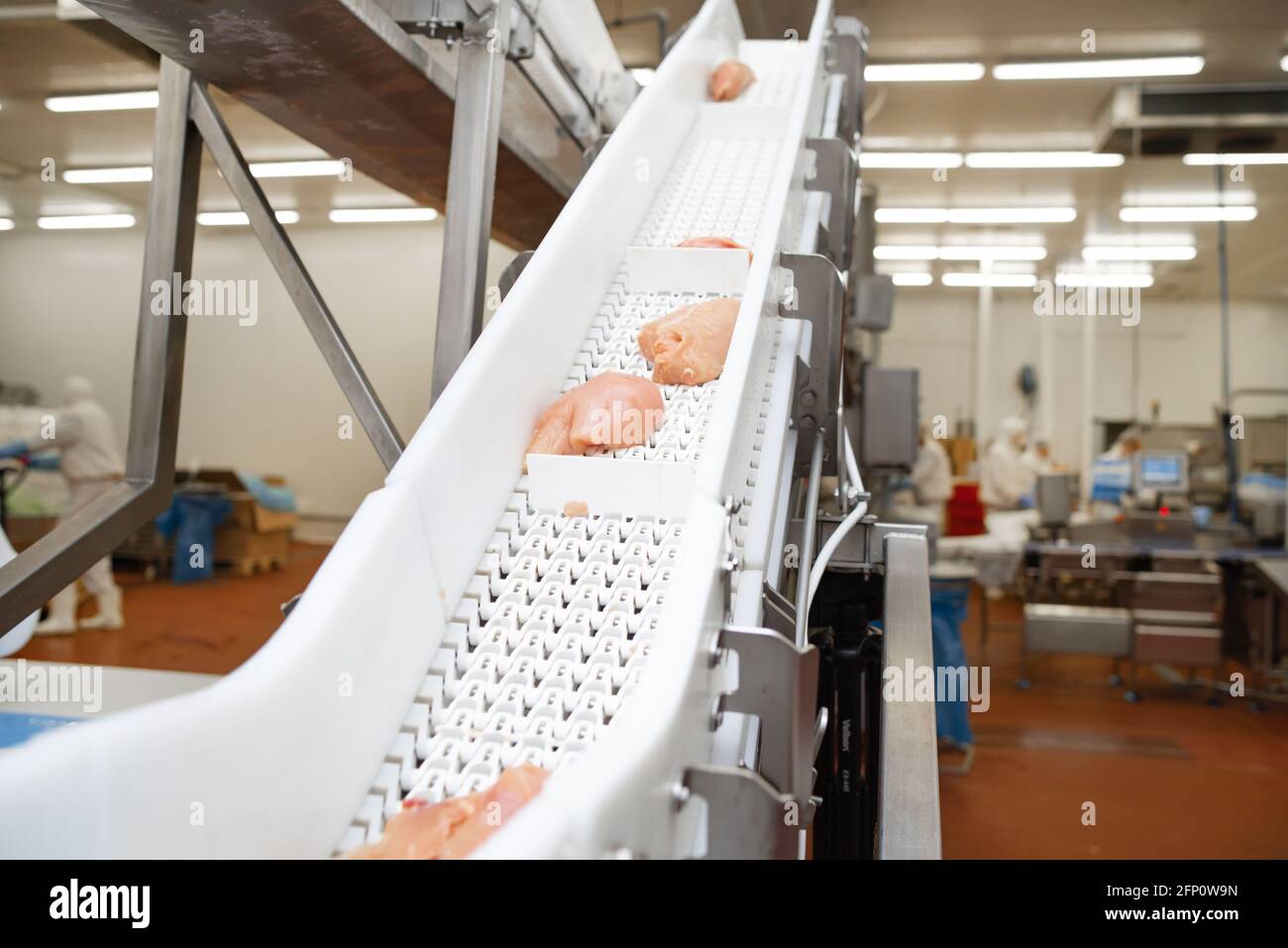 Automated production line in modern food factory.Factory for the ...