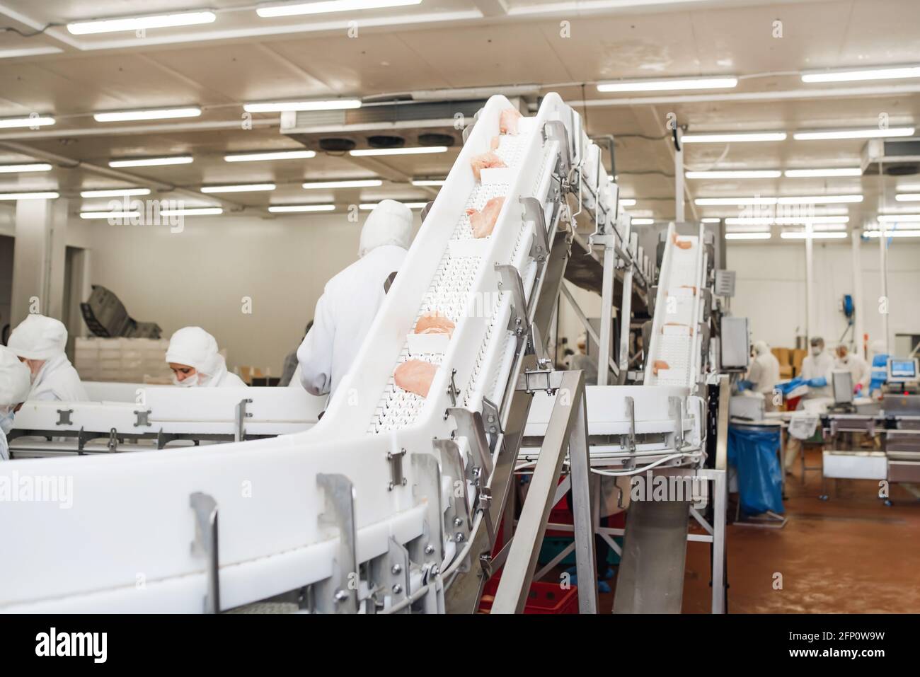 Production line with packaging and cutting of meat.People working at a ...