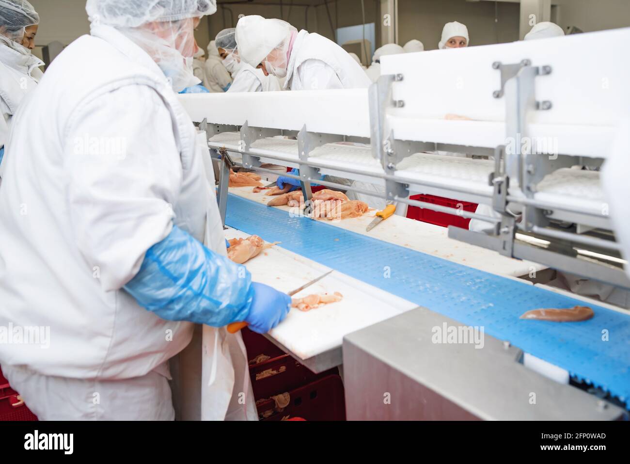 Production line with packaging and cutting of meat.People working at a ...