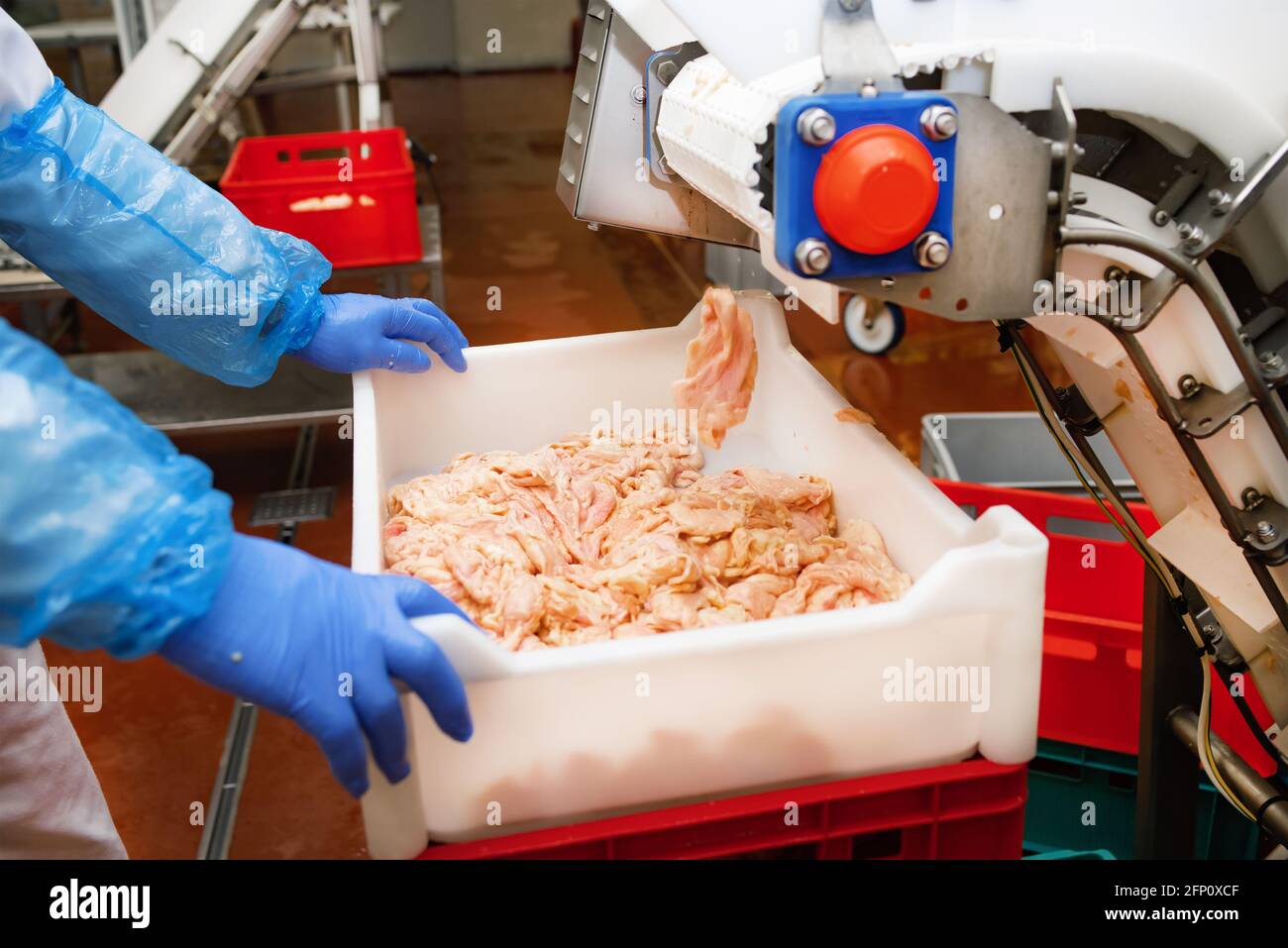 Production line in the food factory stock photo.Workers at meet ...