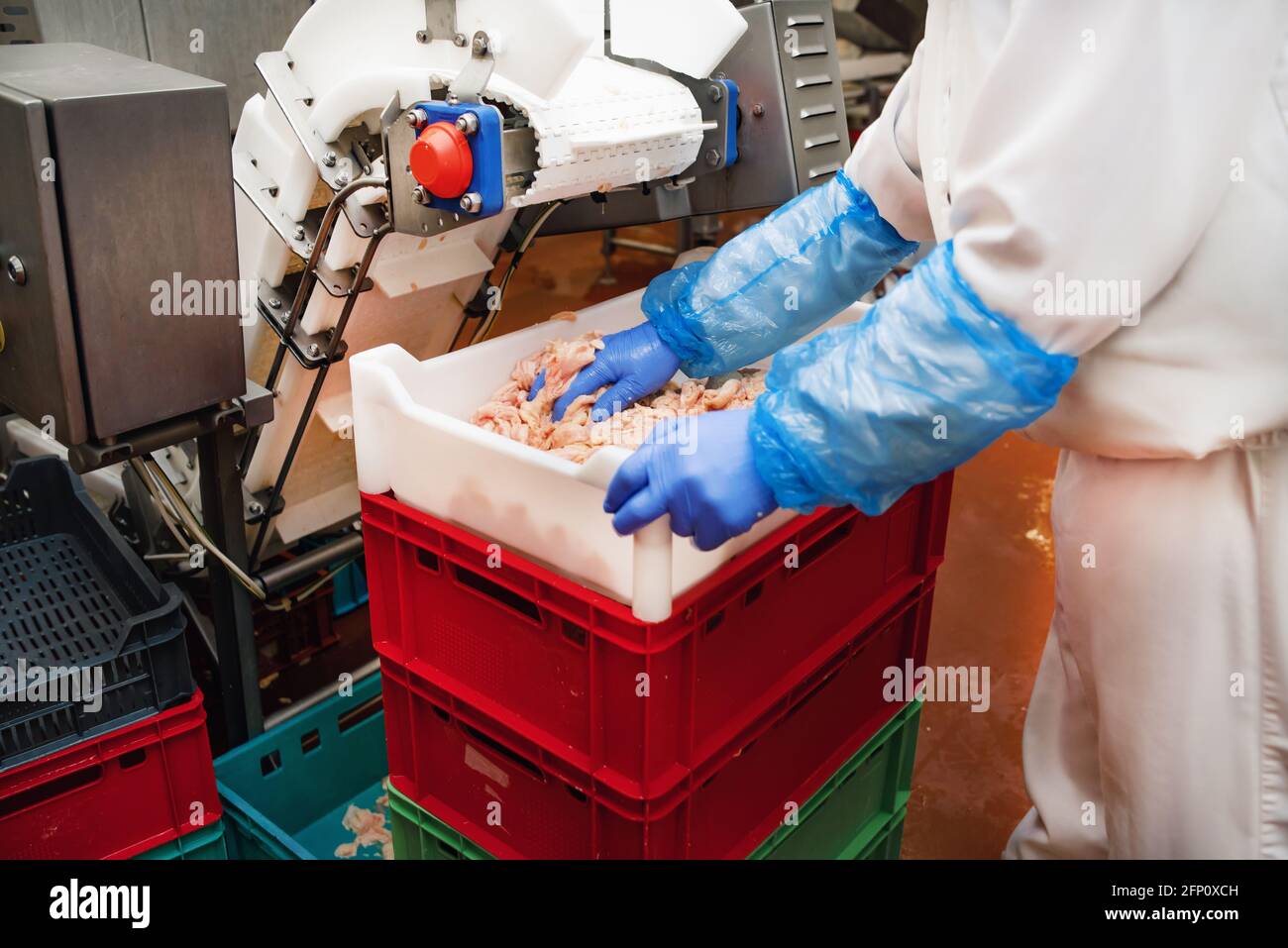 Production line in the food factory stock photo.Workers at meet ...
