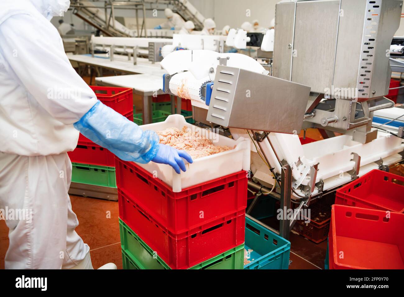 Production line in the food factory stock photo.Workers at meet ...