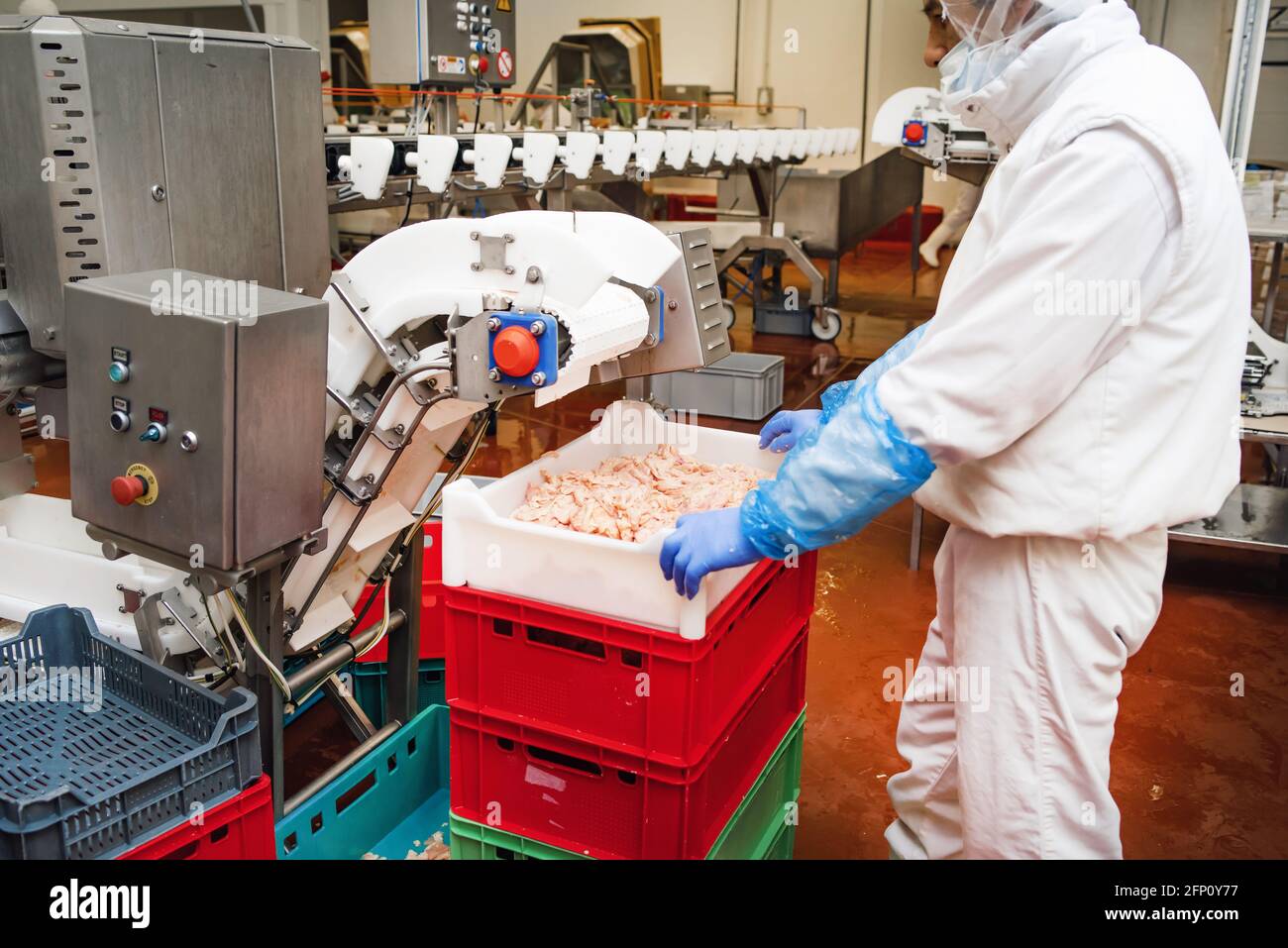 Production line in the food factory stock photo.Workers at meet ...