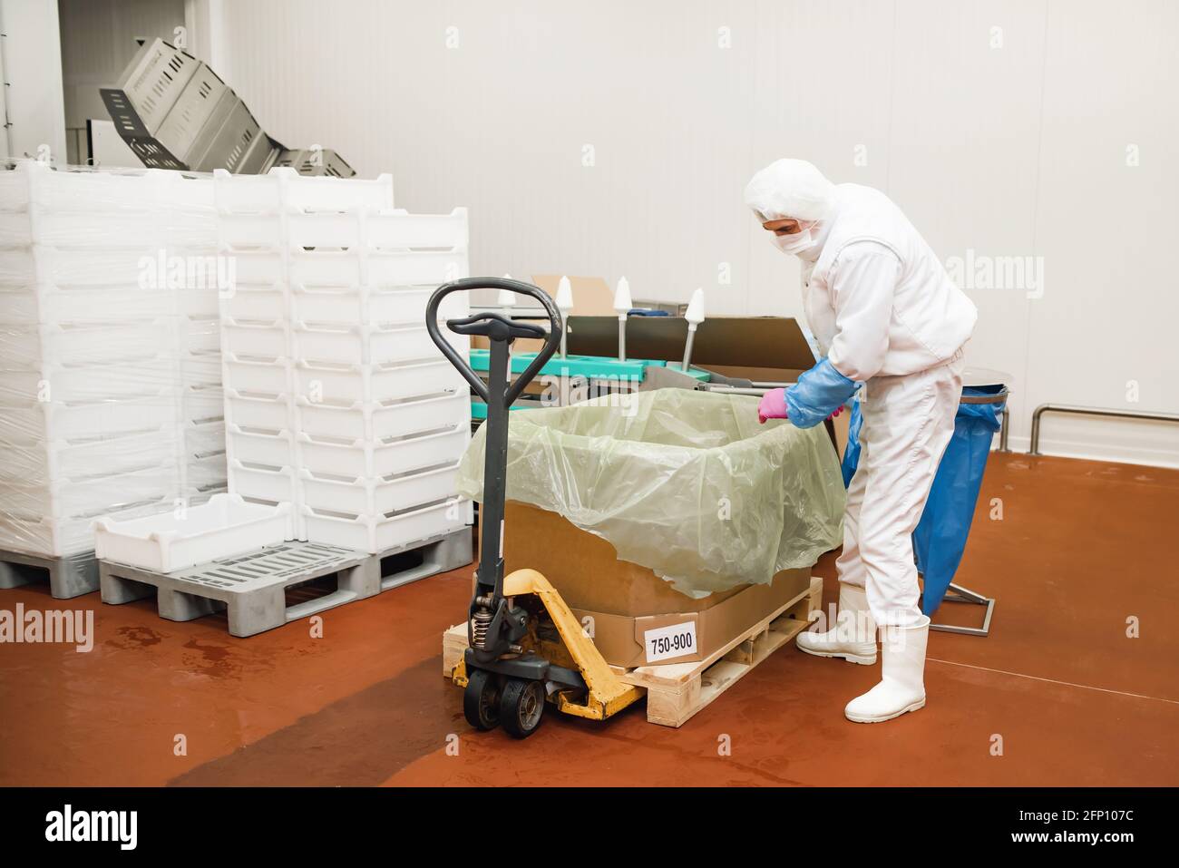 Production line in the food factory stock photo.Workers at meet ...