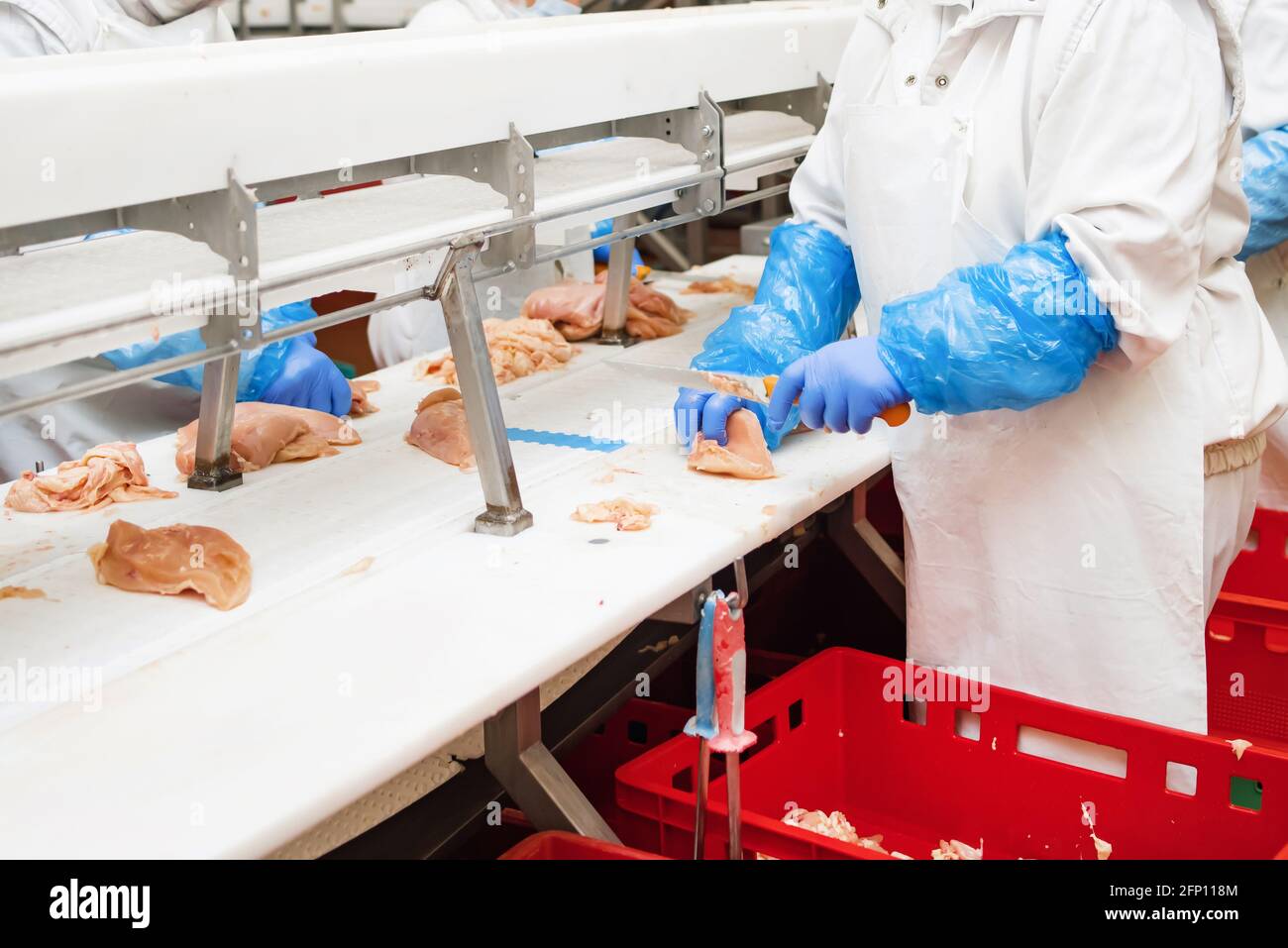 Automated production line in modern food factory.Factory for the ...