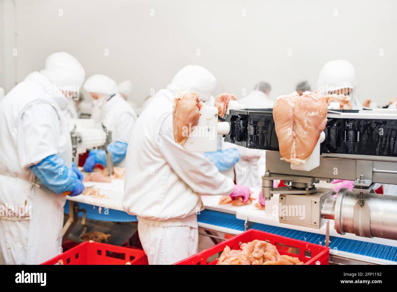 Automated production line in modern food factory.Factory for the ...