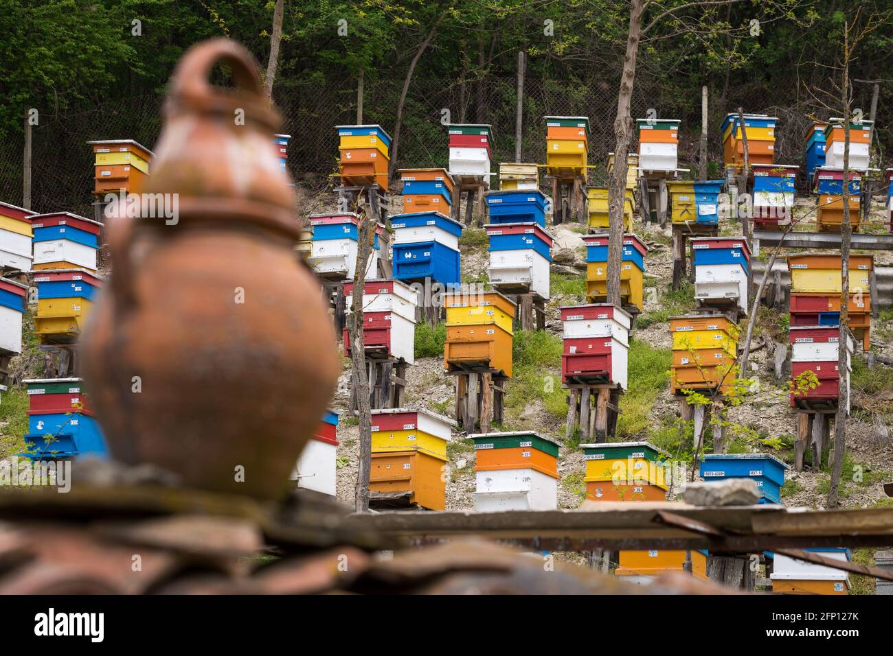 Large apiary in an ecologically clean environment in nature with a ...