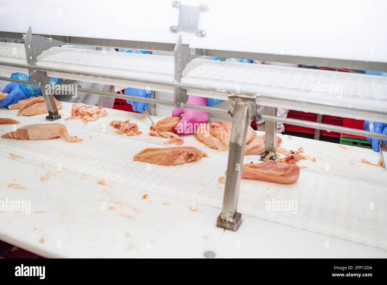 Automated production line in modern food factory.Factory for the ...