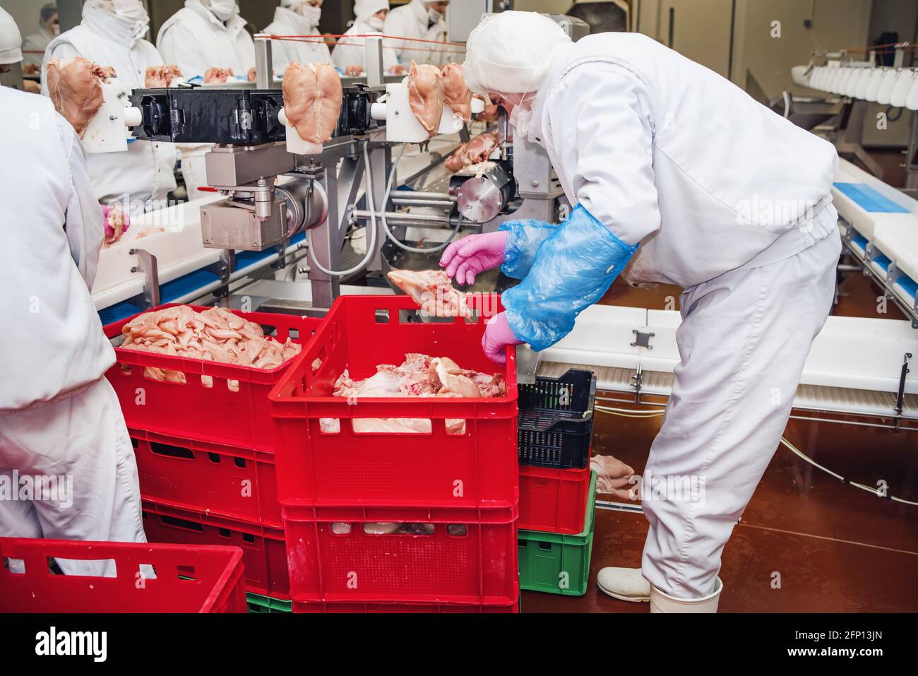 Production line in the food factory stock photo.Workers at meet ...