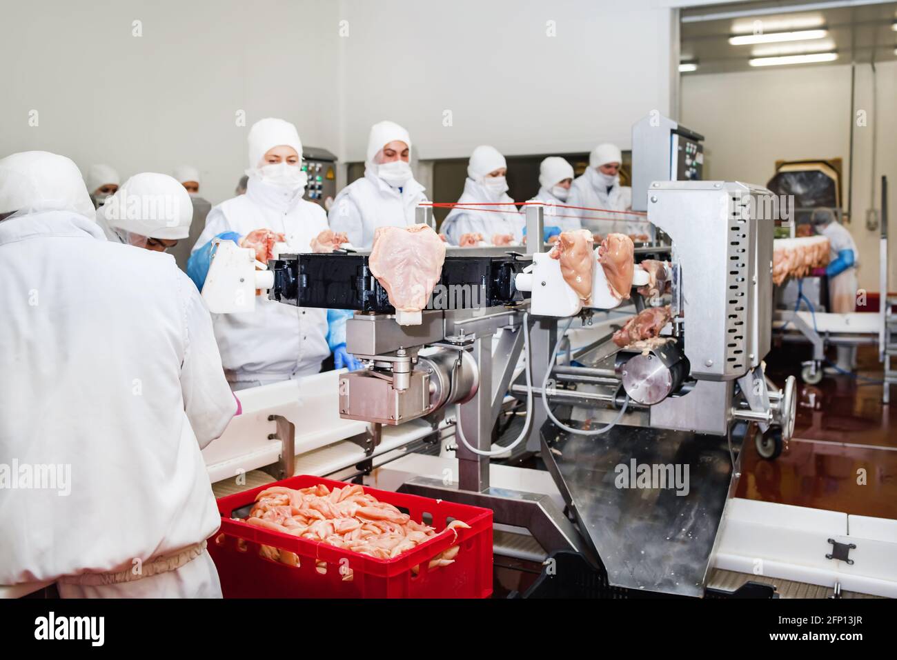 Production line in the food factory stock photo.Workers at meet ...