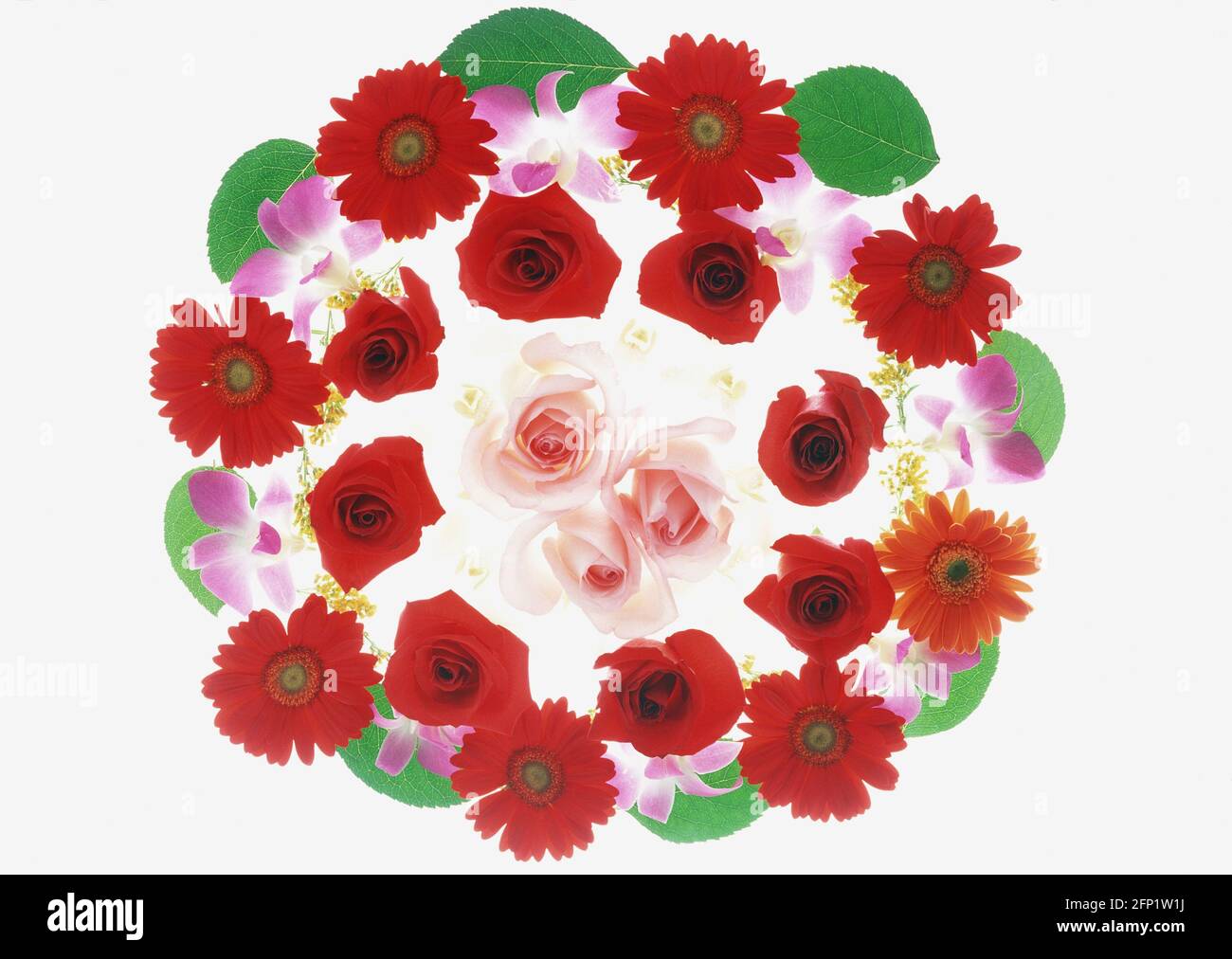 All kinds of flowers, roses are very beautiful and worth collecting ...