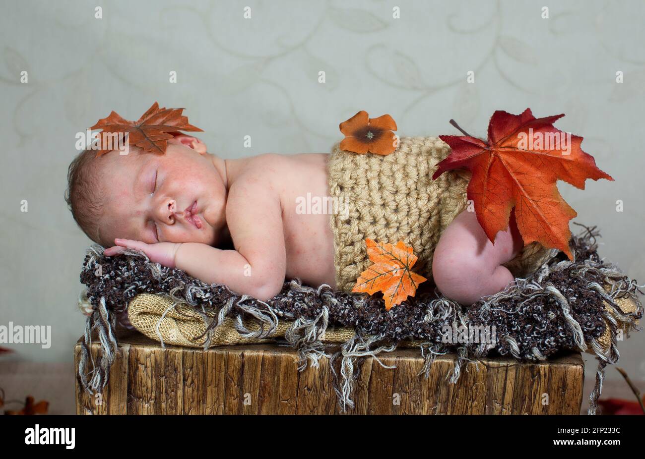 Closeup shot of a sleeping baby wearing a knitted diaper with autumn ...