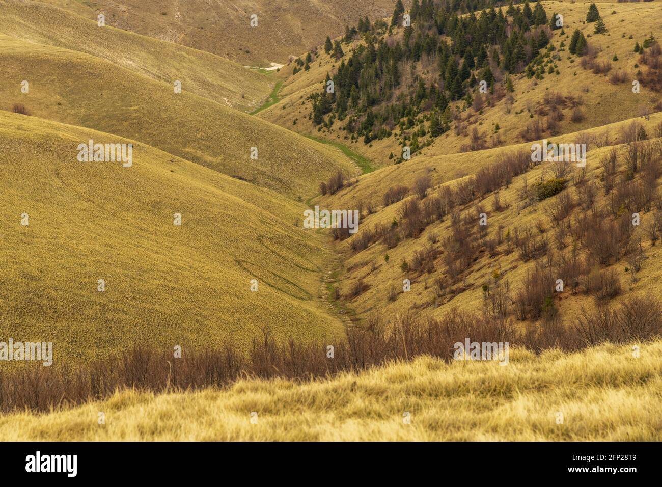 Beautiful landscape of a valley between hills Stock Photo - Alamy