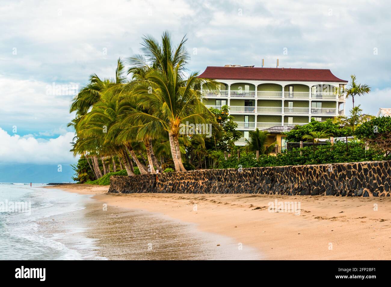Lava Rock Wall and Palm Trees on Lahaina Beach, Lahaina, Maui, Hawaii ...
