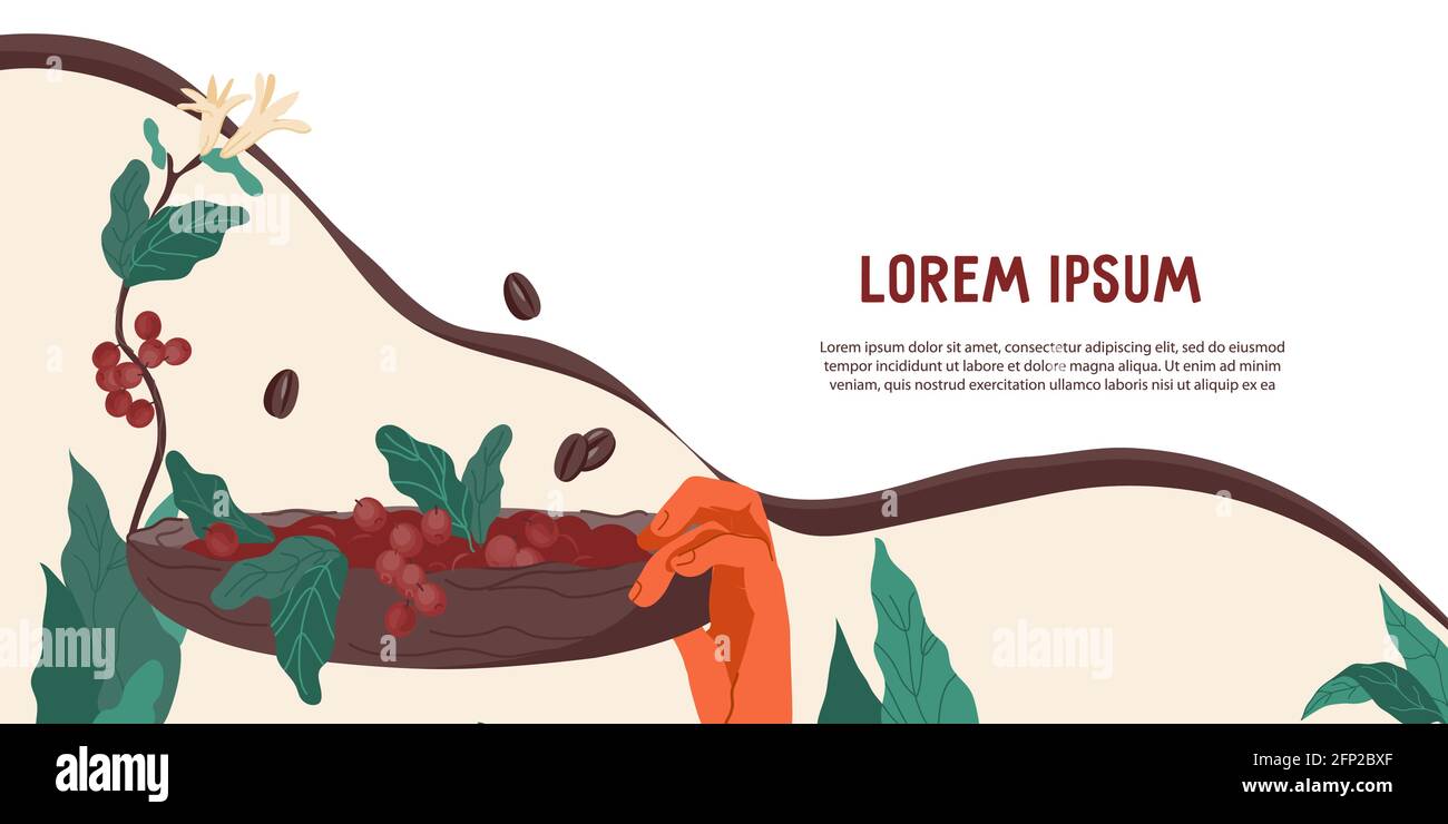 Coffee flyer or banner design with basket of coffee beans, flat vector ...