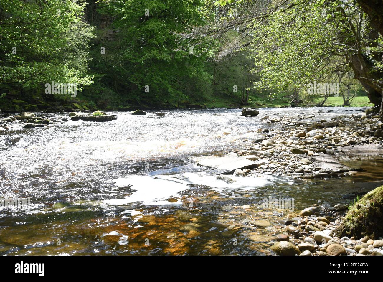 River cover hi-res stock photography and images - Alamy