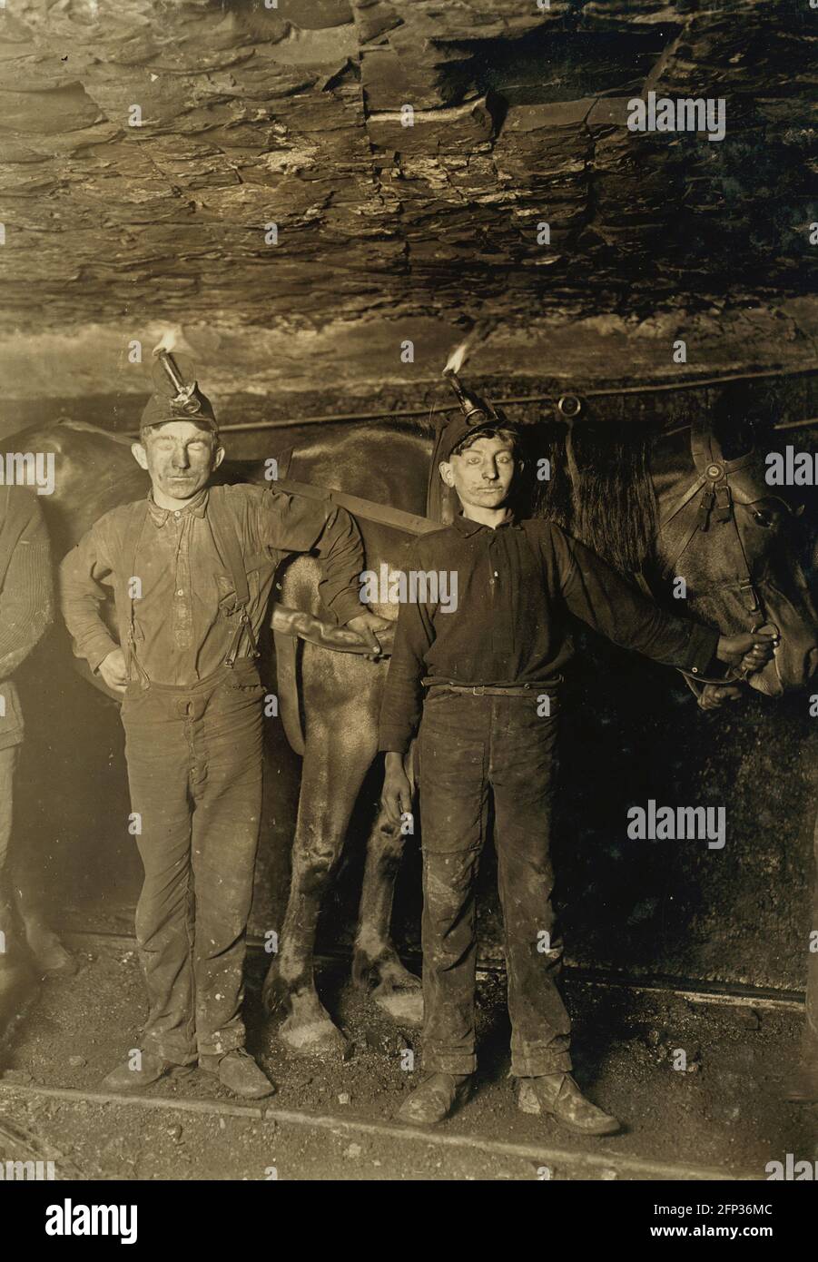 Child Labour: Boys posing with pit mules in West Virginia, photo 1908 ...