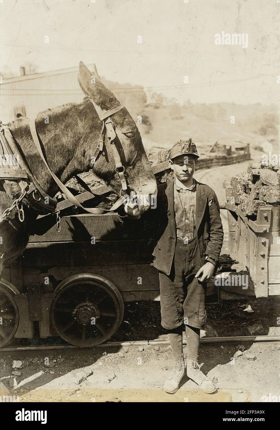 Child Labour: A 12 year old driver and his mule at West Virginia ...