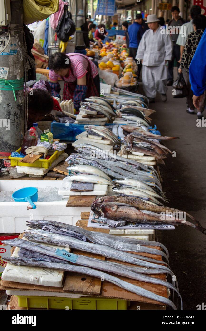 Fish being sold at an outdoor market in South Korea Stock Photo - Alamy