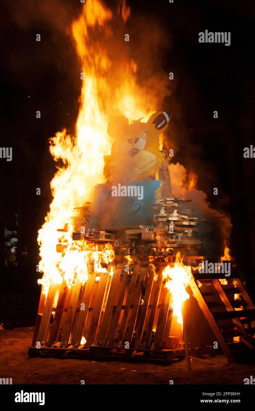 Bruin Bear is burned as part of USC conquest, a tradition at the ...